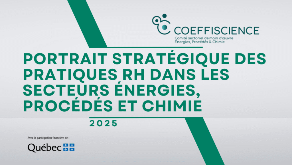 Un portrait révélateur des pratiques RH dans le secteur énergies, procédés et chimie - Coeffiscience